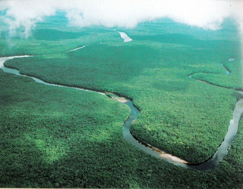 Vista satelital del delta del Orinoco | Venezuela